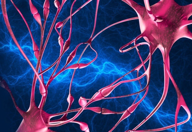 How to strengthen the nervous system - Estet-Portal