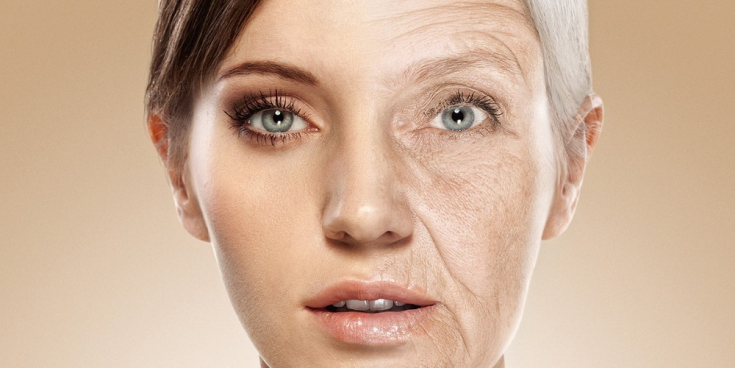 Facial skin aging: layer-by-layer changes - Estet-Portal