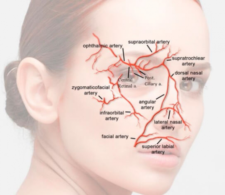 Vascular occlusion - a complication after lip correction - Estet-Portal