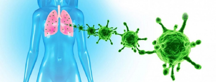 Sputum secretion in the throat: what to do and what’s associated with ...